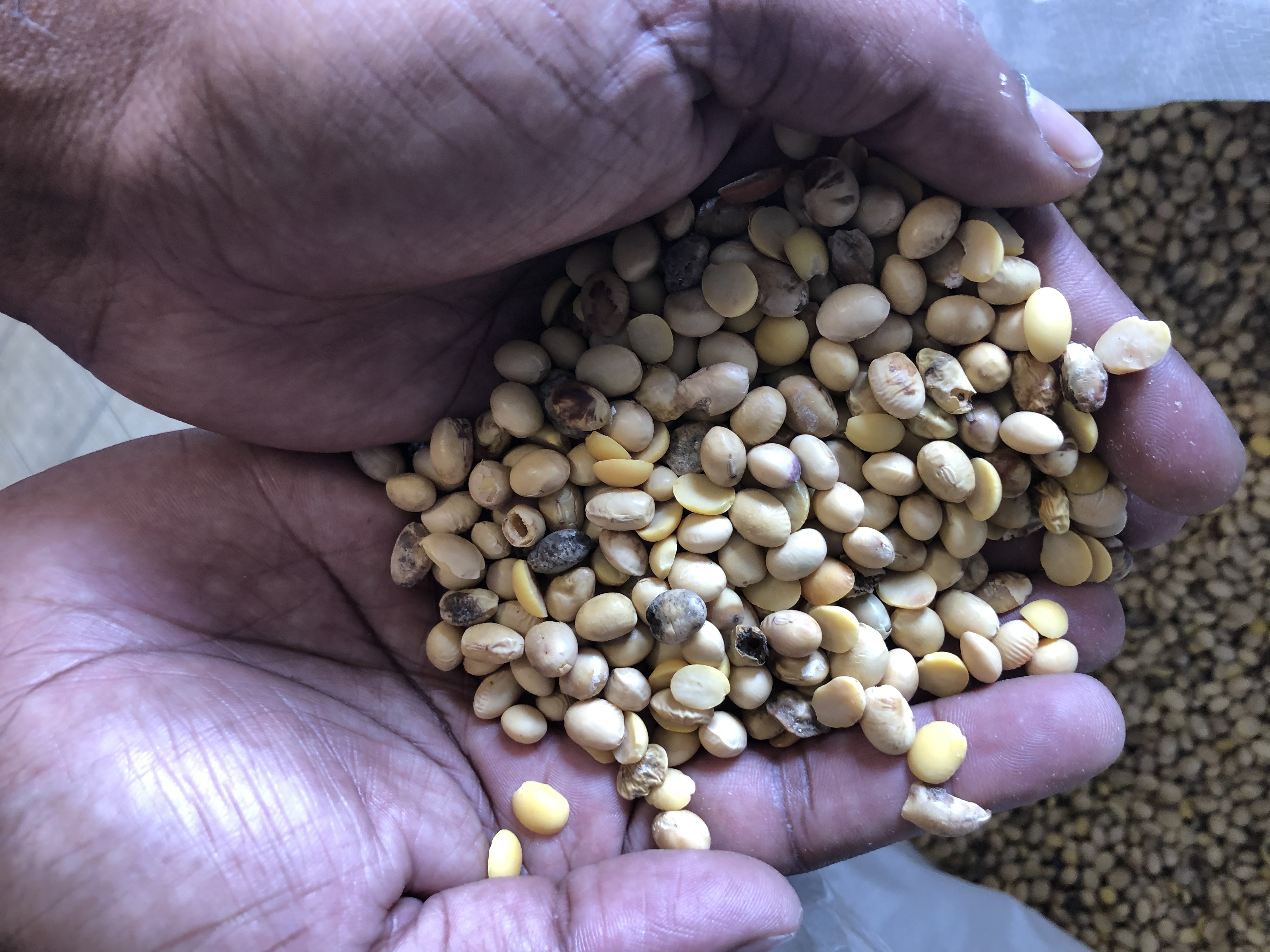 Coups de Kèr by Kaspro - Du tofu made in Réunion ! | Zest